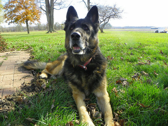 Brody and Treu | Home on 129 Acres